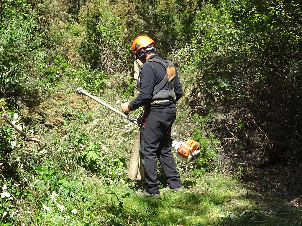 Obligation légale de débroussaillage | Cabries